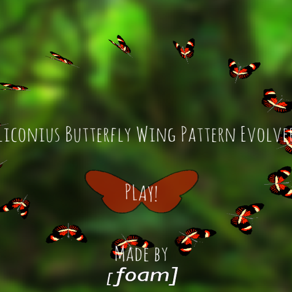 Butterfly Mimicry Game | Then Try This