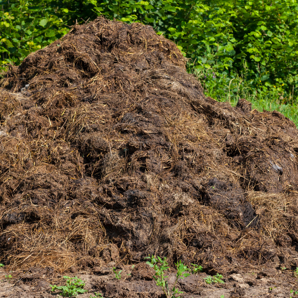 BostAnlytics - the Farm Crap App for Argentina | Then Try This