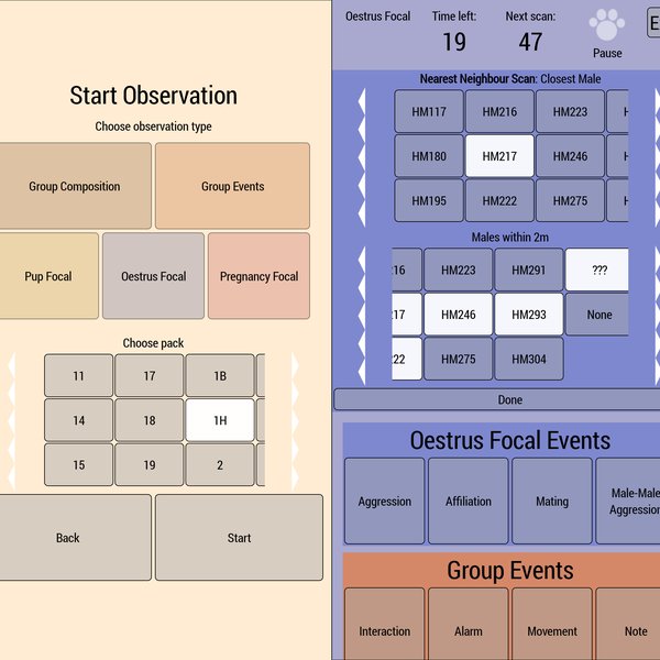 Mongoose 2000: 2025 update | Then Try This